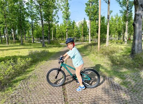 어린이자전거추천 마이크로바이크 20인치 튼튼한 초등자전거 네이버 블로그