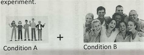 Experimental Designs Flashcards Quizlet