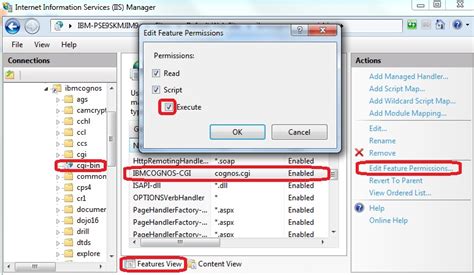Sachchidanand Singh Configure Microsoft IIS Web Server For IBM Cognos On Windows Platform