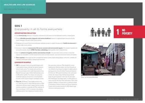 Sdg Matrix Healthcare Ppt