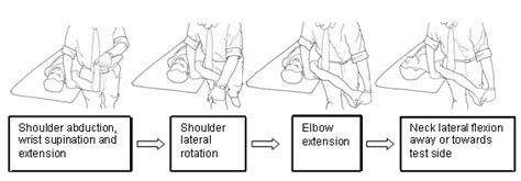 Neurodynamics Physical Neural Health Reflections On The Upper Limb