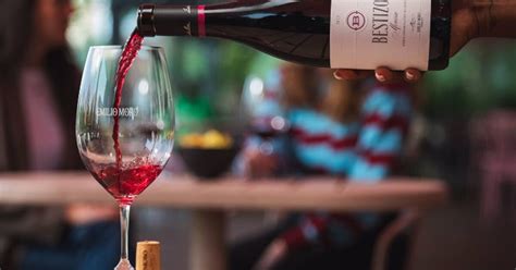 Emilio Moro Lanza Al Mercado Su Primer Vino Con Uva Mencía Bestizo 2023 Infobae