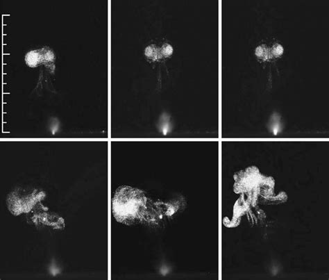 Plume Formation And Expansion For Repeated Laser Ablation On The Same Download Scientific