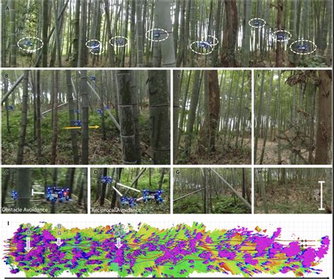 Watch A Swarm Of Drones Autonomously Track A Human Through A Dense