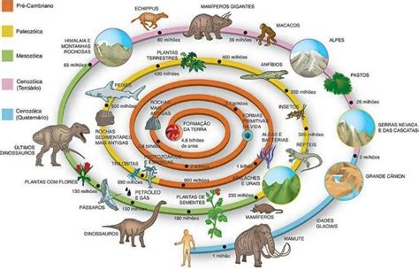 Geologic Timeline Scale Vector Illustration Labeled Earth History Scheme Stock Vector