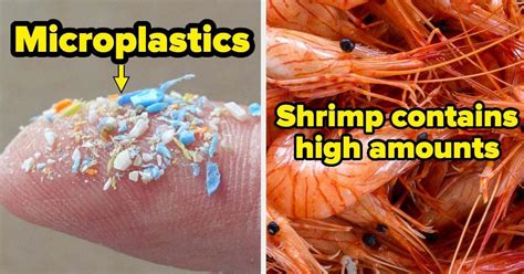 You Cant Totally Avoid Microplastics But These 7 Things Can Help