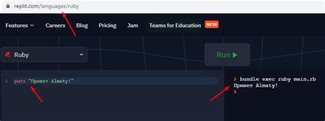 Ruby язык программирования для профессионалов