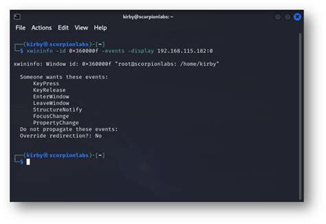 Lets Talk About X The X Window System Of Course