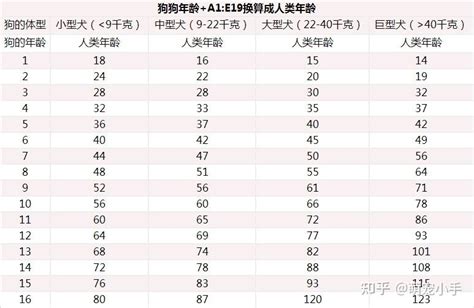 辟谣：狗1岁＝人类7岁？这才是正确的年龄换算 知乎