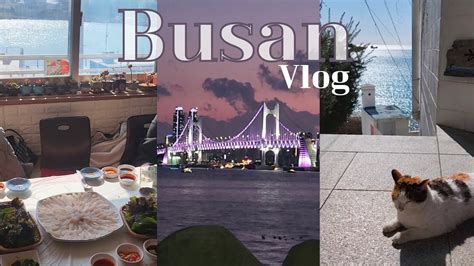 부산여행vlog 부산토박이가 투어시켜주는 부산여행흰여울기장해운대광안리 Youtube