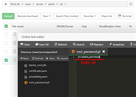 aapanel enable panel ssl use self signed certificate browser add secure