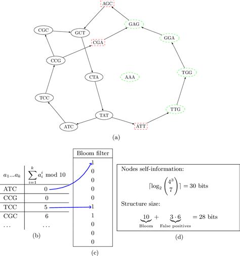 figure 1 from space eﬀicient and exact de bruijn graph representation