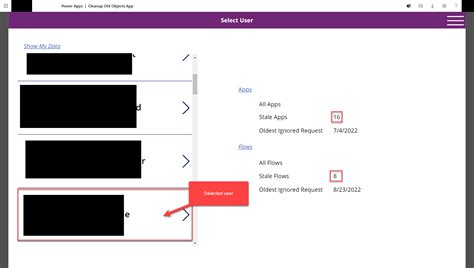 CoE Starter Kit BUG Cleanup Old Objects App Non Maker Employees Show Some Of The Orphan