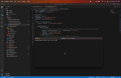 How To Display PDFs Using Angular Nutrient