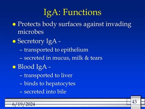 Immunoglobulin Structure And Function Ppt