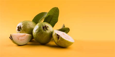 Guayaba Beneficios Propiedades Y Usos Farmazara Blog Salud