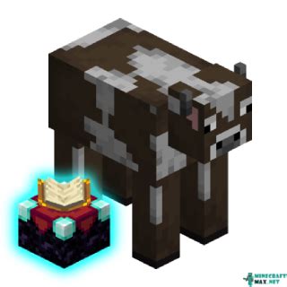 Fire Aspect How To Craft Fire Aspect In Minecraft Minecraft Wiki