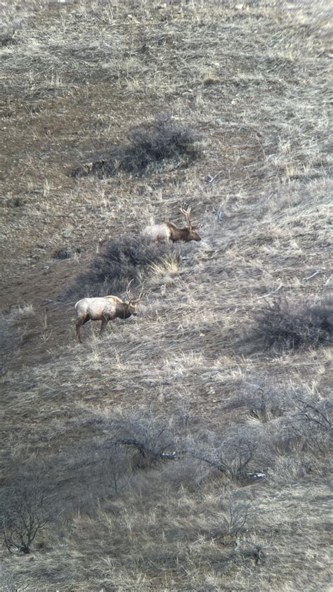 Tract Toric Spotting Scope Review Tract Optics High Value 27 55x80 Spotter Backwoods Pursuit