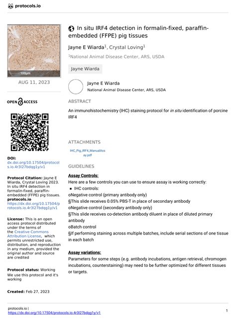 Pdf In Situ Irf4 Detection In Formalin Fixed Paraffin Embedded Ffpe