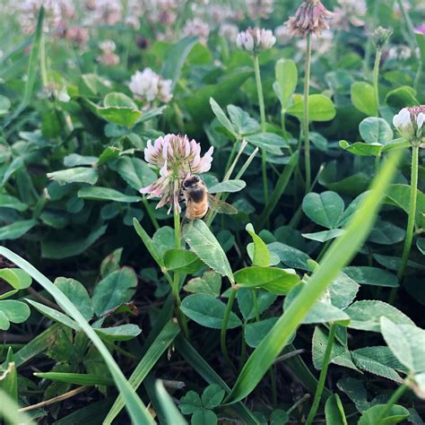 Matt Pivec Next Step Matt Pivec Next Step Realty