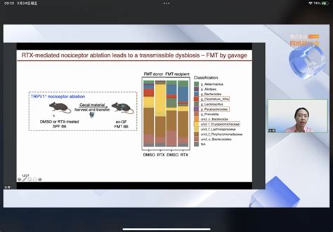 1680519974293466 Png