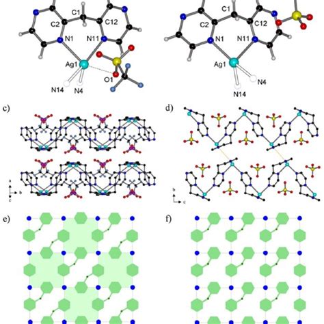 A View Of The Edta Ligand And The Ag I Coordination En Download
