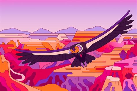 Wildlife Preservation Consider The Condor Deseret News