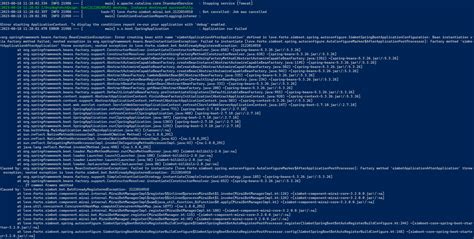 在idea中可以正常运行打包后使用java jar启动提示Bot verify info xxx registration failed or start failed错误