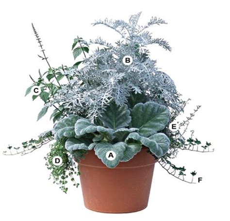 Градински контейнери за ценители Български Фермер