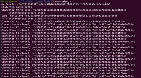 github bushra2001 hydra personalized p2p blockchain network written