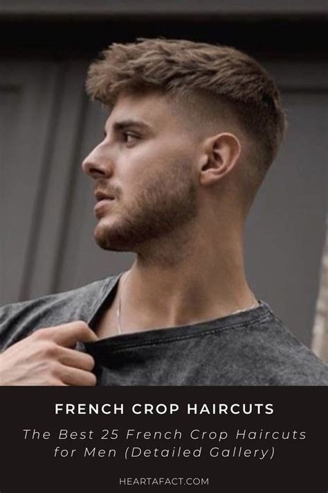 The Best 25 French Crop Haircuts For Men Detailed Gallery Crop