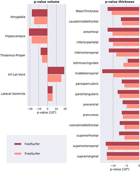 Figure 10 From Fastsurfer A Fast And Accurate Deep Learning Based