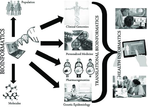 1 Translational Bioinformatics Tbi Bridges Between Bioinformatics And