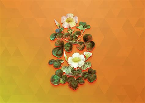 Vintage Variable Oxalis Branch Botanical Art On Tangelo N0470 Greeting