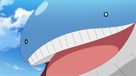 Wailord Pj143 Pokémon Wiki Fandom