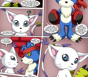 Gatomon In Heat Muses Sex And Porn Comics