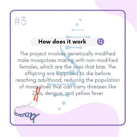 Genetically Modified Mosquitoes In Usa R W And W