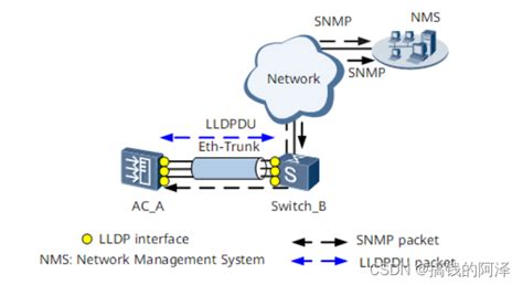 lldp 链路层发现协议 csdn博客