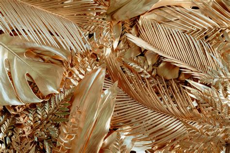 황금 열대 몬스터와 야자수 잎 최소한의 여름 추상적 인 숲 패턴이나 숲과 창조적 인 자연 배경 0명에 대한 스톡 사진 및 기타 이미지 Istock