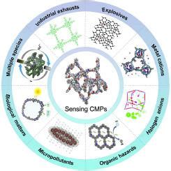 用于先进化学传感应用的共轭微孔聚合物 Progress In Polymer Science X Mol