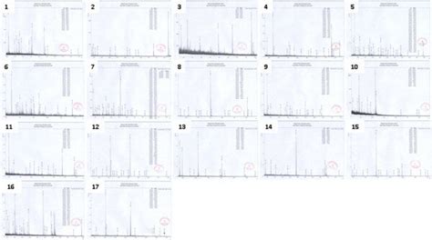 The Results Of Maldi Tof Ms In 17 Different Spots The Peptide Mass Download Scientific Diagram