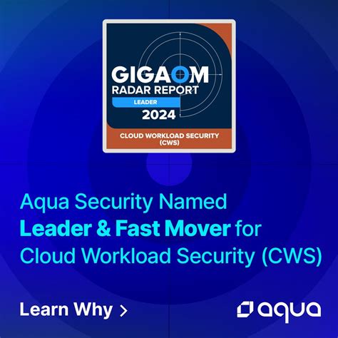 Aqua Security Named Leader And Fast Mover For Cloud Workload Security Cws Chris Lapierre