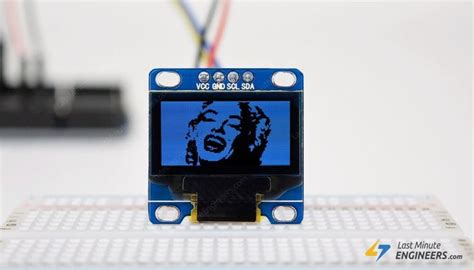 Learn About OLED Display Module Along With Its Hardware Overview Pinout Wiring Library
