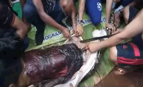 Woman Swallowed Whole By Python And Found Undigested Inside