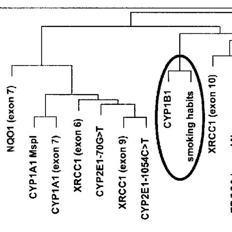 Dendrogram For The Control Group Using A Combination Of Three