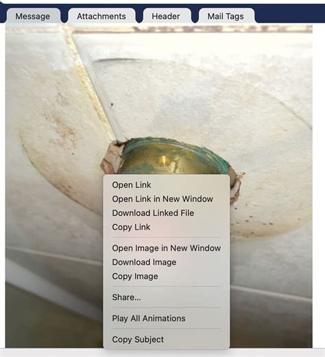 Context Menu For Htmlviewer Macos Xojo Programming Forum