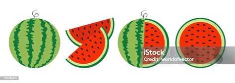 수박 아이콘 세트 라인입니다 전체 잘 익은 녹색 줄기 슬라이스 반 씨앗을 잘라 녹색 빨간색 둥근 과일 베리 육체 껍질 천연 건강