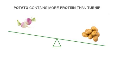 Compare Protein In Turnip To Protein In Potato