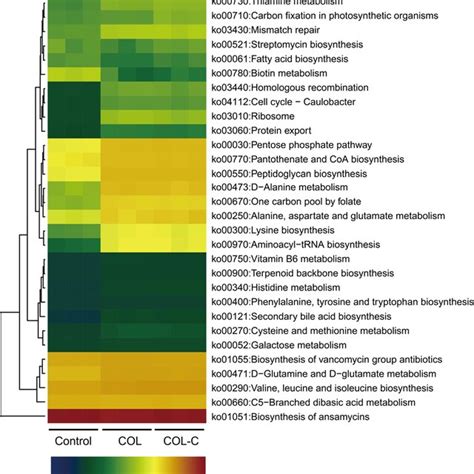 Variation In The Gut Microbial Functional Pathway At Level 3 By Picrust