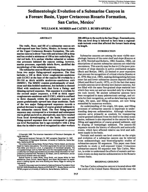pdf sedimentologic evolution of a submarine canyon in a forearc basin